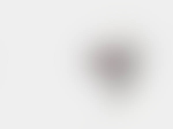 Montures - Tom Farrell Books